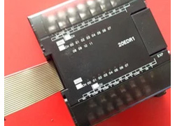 Module mở rộng PLC Omron CP1W-20EDR1